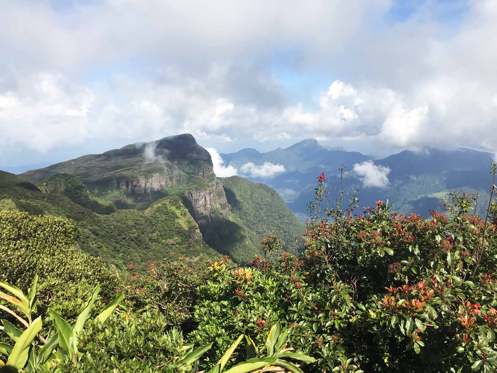 Knuckles Forest : 2 jours de randonnées dans la forêt Sri Lankaise