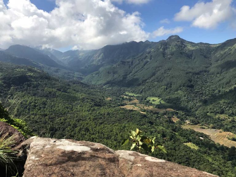 Knuckles Forest : 2 jours de randonnées dans la forêt Sri Lankaise