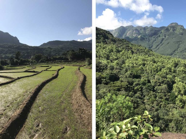Knuckles Forest : 2 jours de randonnées dans la forêt Sri Lankaise